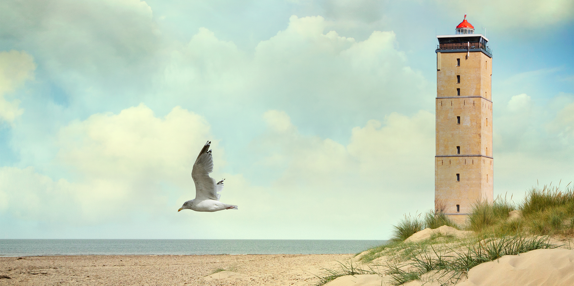 Vermist op Terschelling • spannende roman • De Crime Compagnie