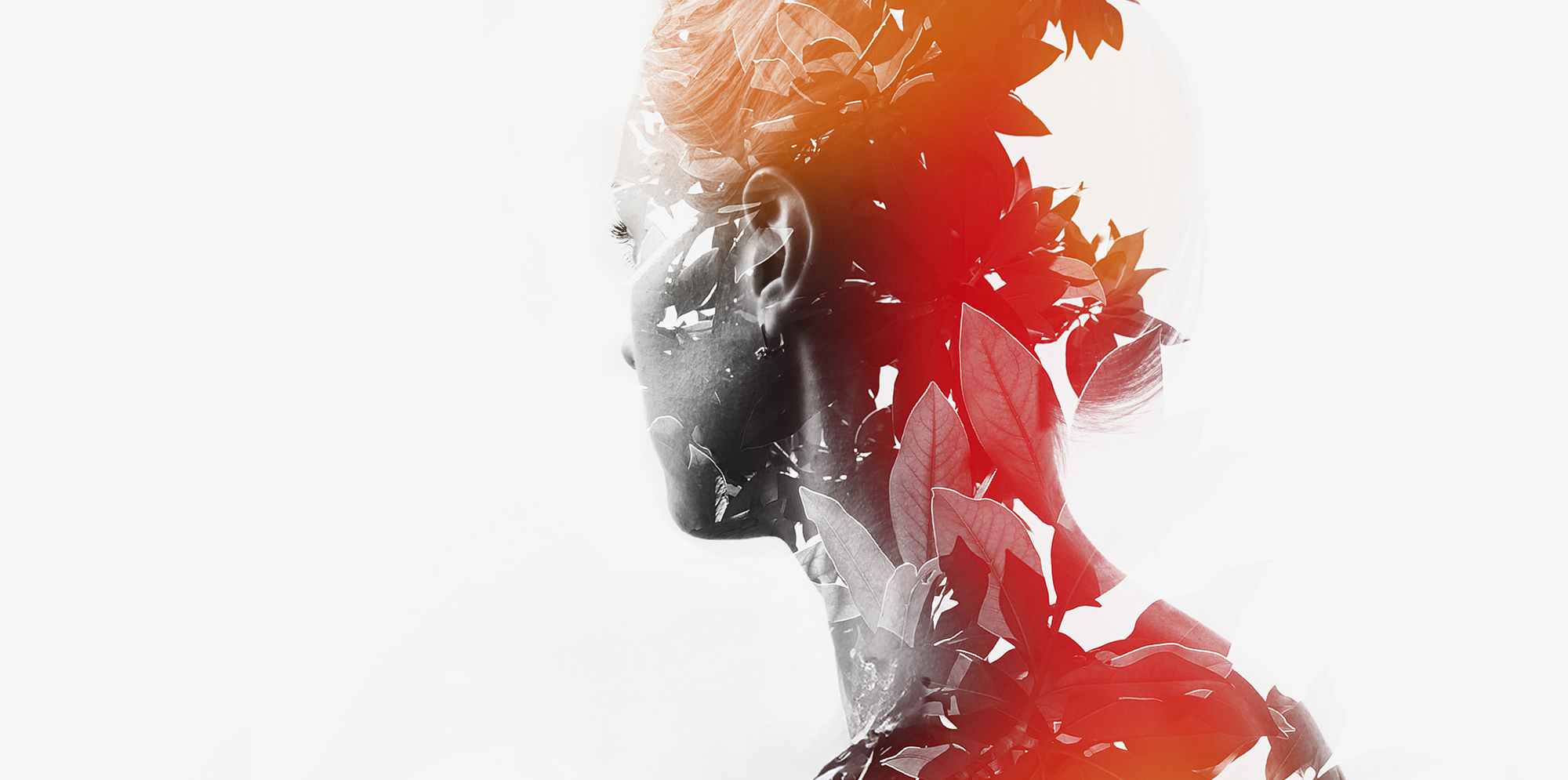 Bloedheet • thriller • De Crime Compagnie